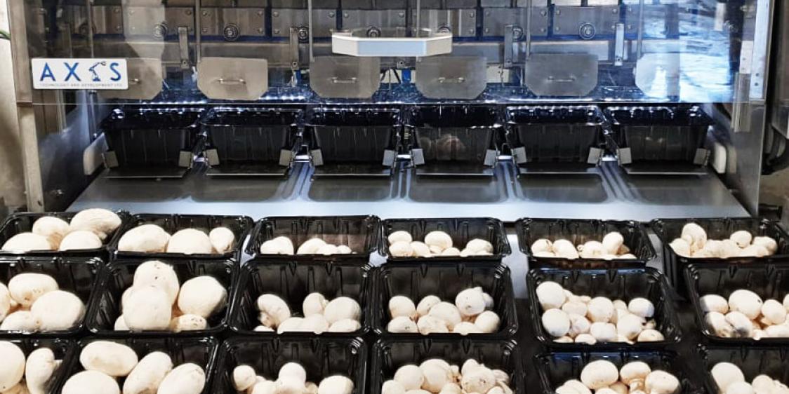 £4m Canadian deal for Axis Technology | Invest Northern Ireland